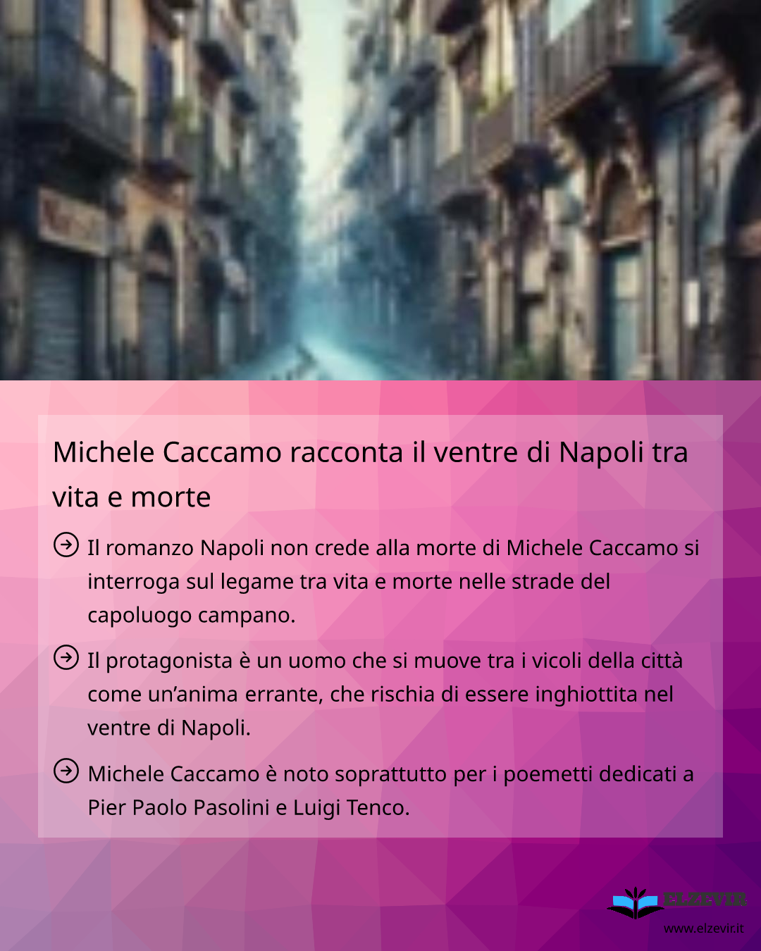 Michele Caccamo racconta il ventre di Napoli tra vita e morte